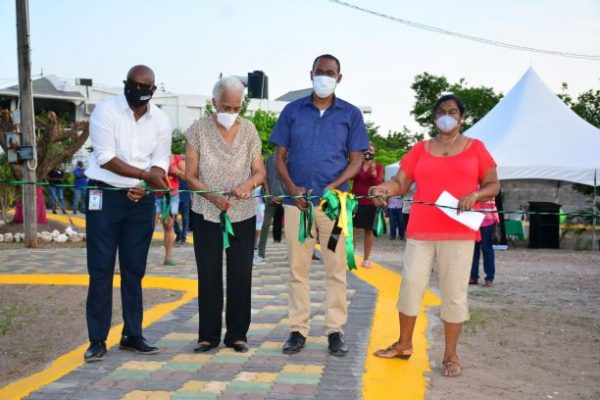 TPDCo Provides Recreational Park For Havendale Residents – Tourism ...