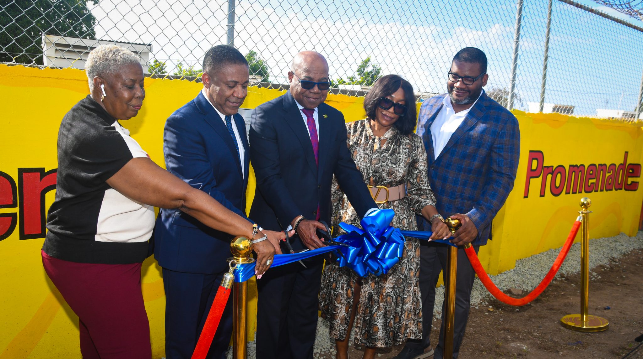 Eastern Kingston Promenade Project Transforms Bellevue Hospital Walls ...